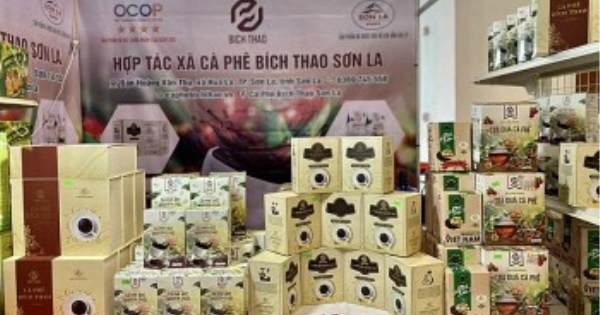 Cà phê Bích Thao Sơn La tiếp tục đạt OCOP 5 sao