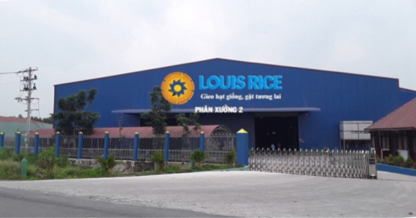Công ty Xuất nhập khẩu Louis Rice bị ngân hàng "siết nợ"
