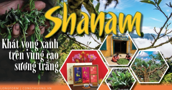 Longform | Shanam: Khát vọng xanh trên vùng cao sương trắng