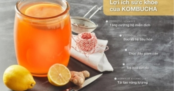Trà Kombucha là gì? Lợi ích của trà Kombucha với sức khỏe