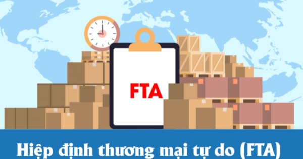 Kết quả thực hiện Hiệp định CPTPP, EVFTA, UKVFTA của Bộ, ngành, địa ...