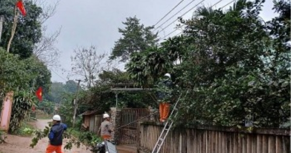 EVNCPC: Tăng quản lý hành lang tuyến để đảm bảo an toàn trong vận hành