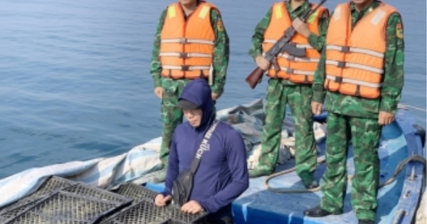 Bắt vụ vận chuyển trái phép gia cầm với số lượng lớn