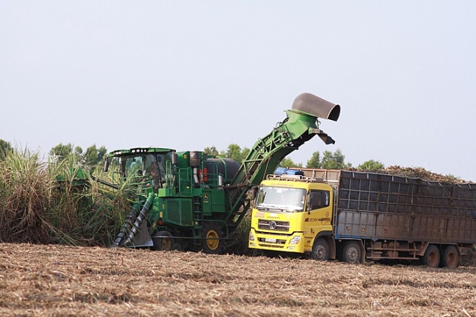 TTC Gia Lai: Đảm bảo lợi ích giữa người trồng mía với nhà máy